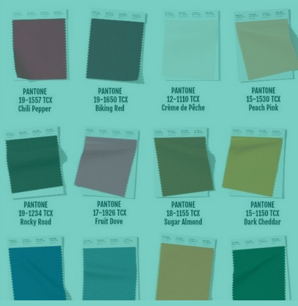 Pantone Colors for Fall/Winter 2019-2020 & How to Wear Them! – Town & Key